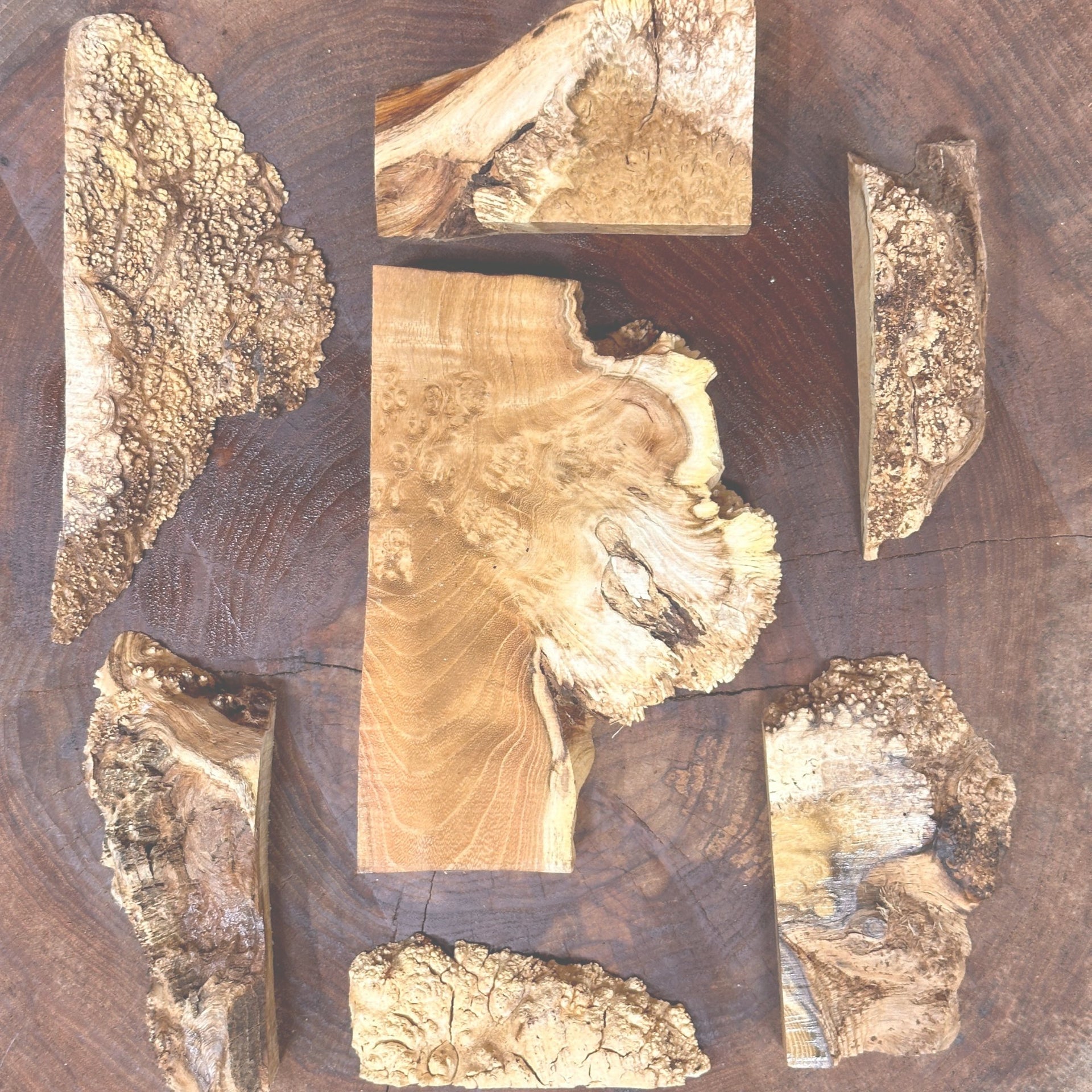Hamilton Lee Supply | Burl Cap Blanks and Sets