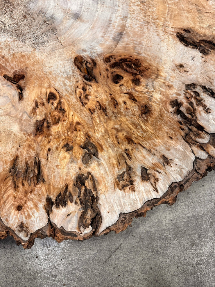 Double Diamond | LiveEdge Mappa Burl | Mappa Burl | BGDDMBCS.848 ...