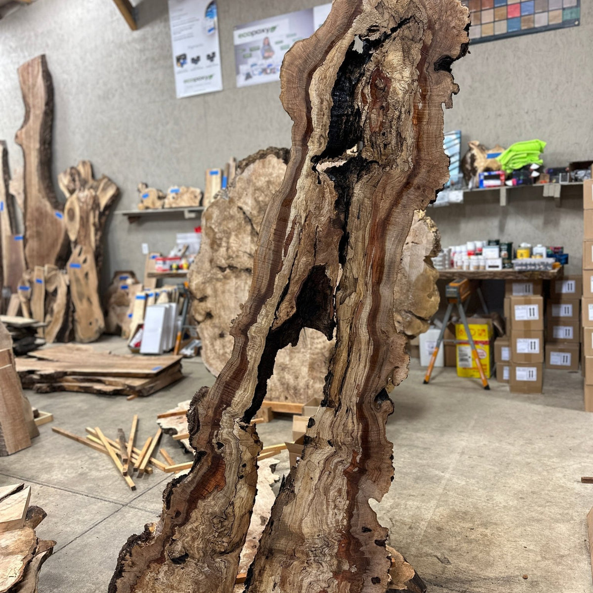 Double Diamond | LiveEdge Big Leaf Maple | Big Leaf Maple | BGDDBLM508 ...