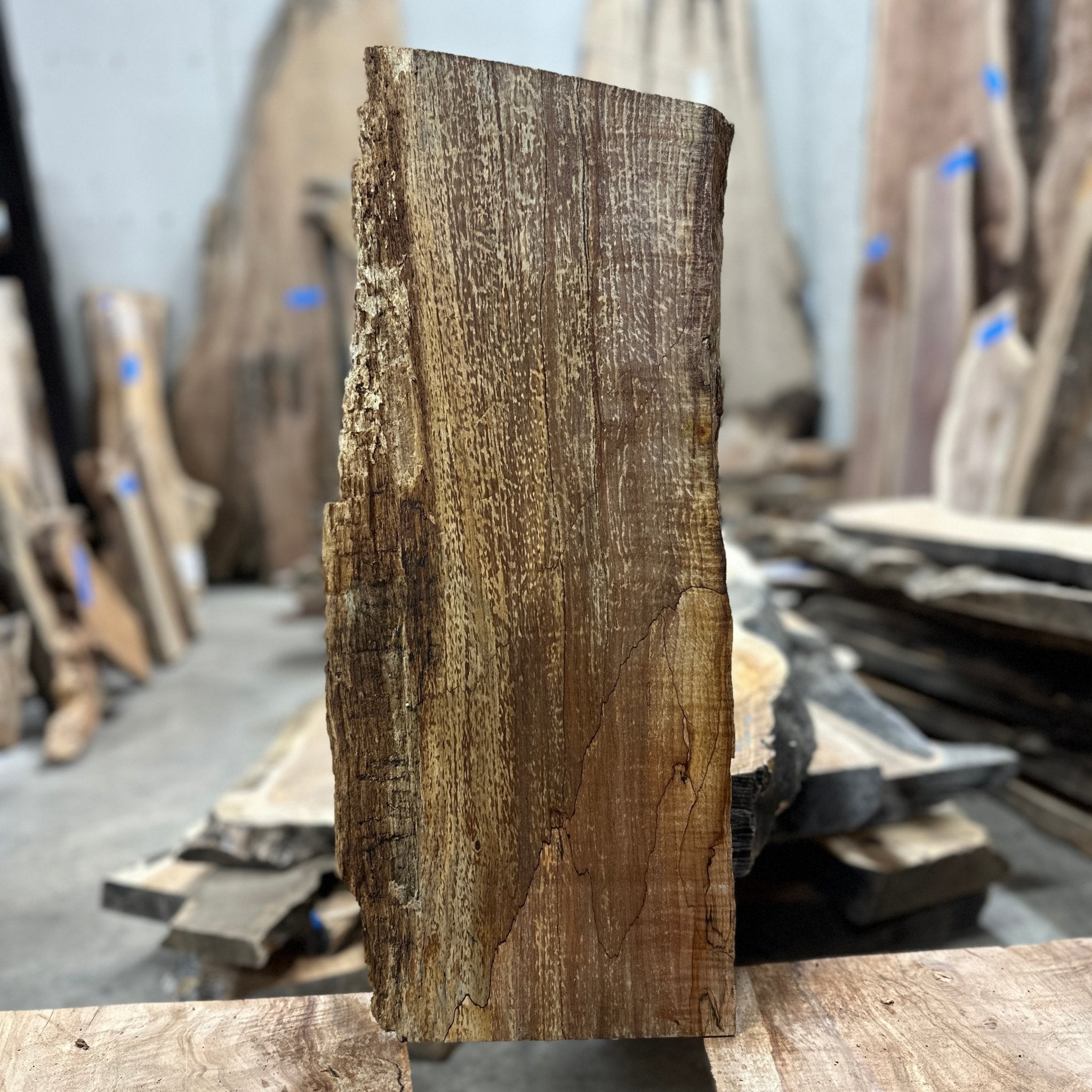 Double Diamond | LiveEdge Big Leaf Maple | Big Leaf Maple | BGDDBLMCS ...