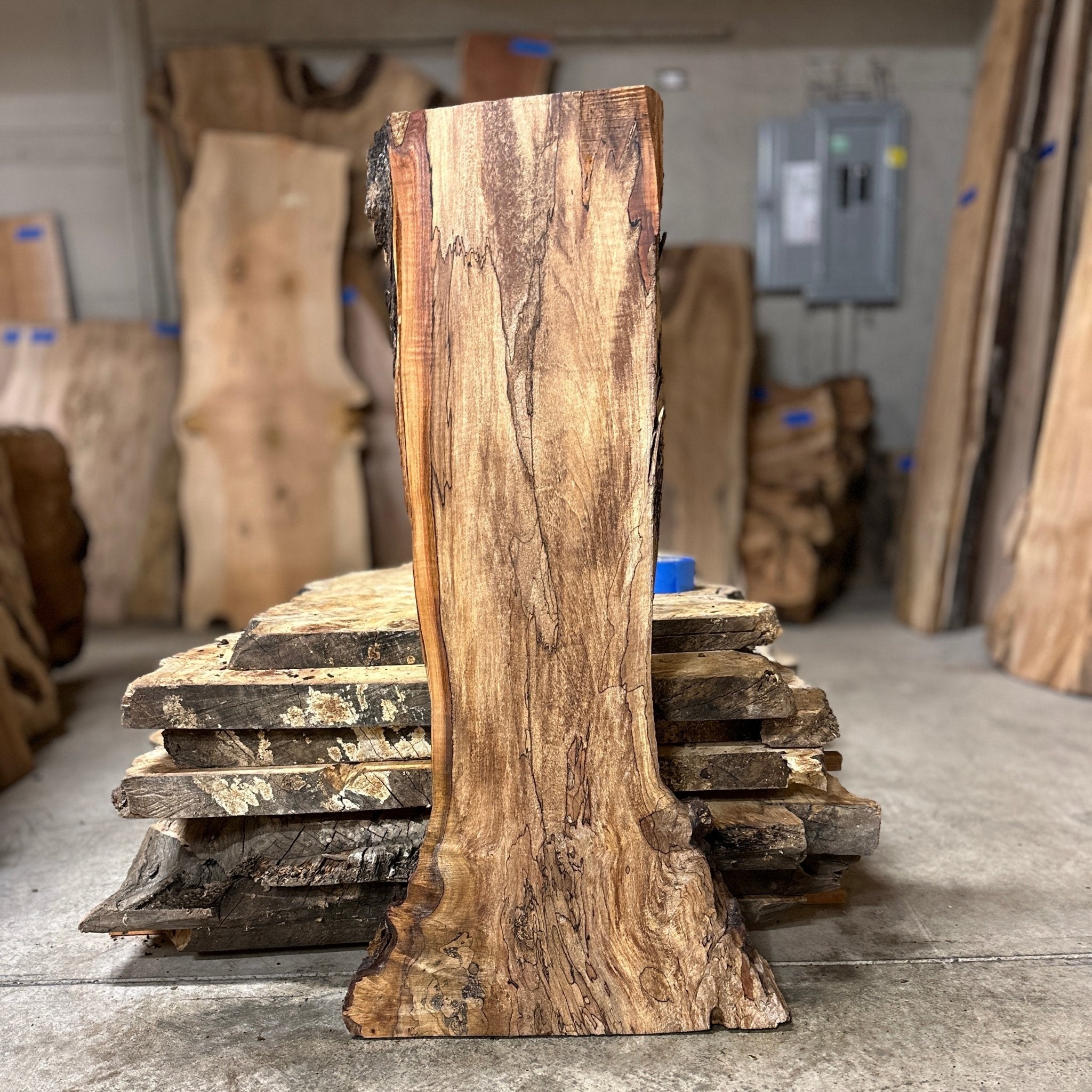 Double Diamond | LiveEdge Big Leaf Maple | Big Leaf Maple | BGDDBLM464 - Hamilton Lee Supply