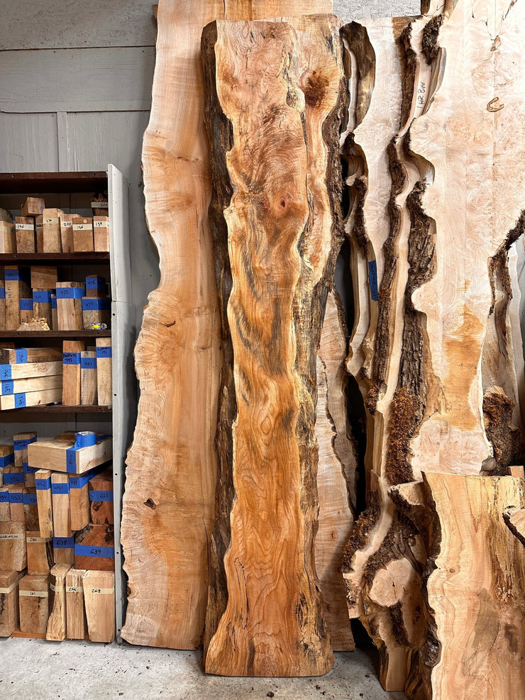Double Diamond | LiveEdge Big Leaf Maple | Big Leaf Maple | BGDDBLM553 ...