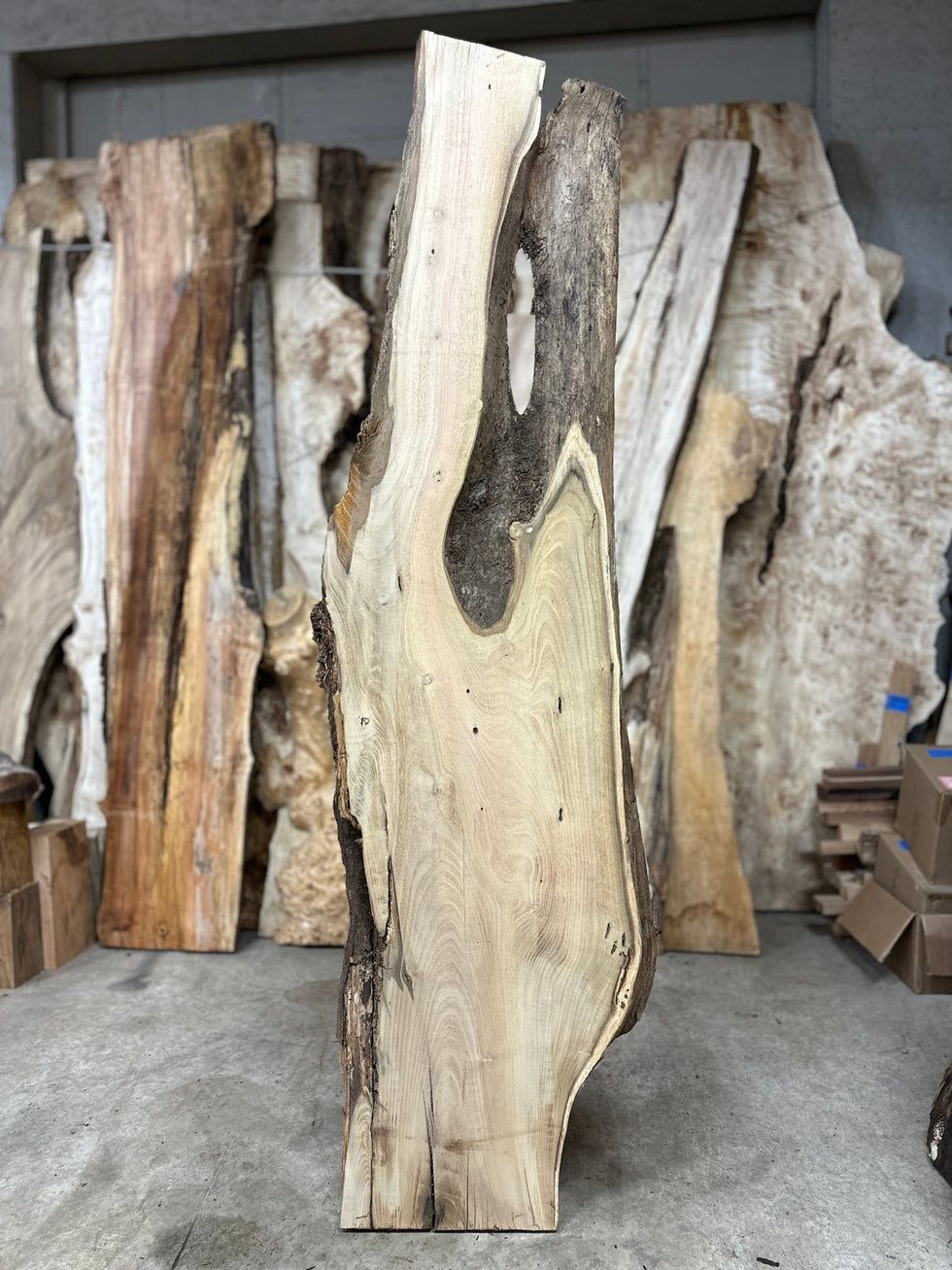 Double Diamond | LiveEdge Black Locust | Black Locust | BGDDBL578 ...