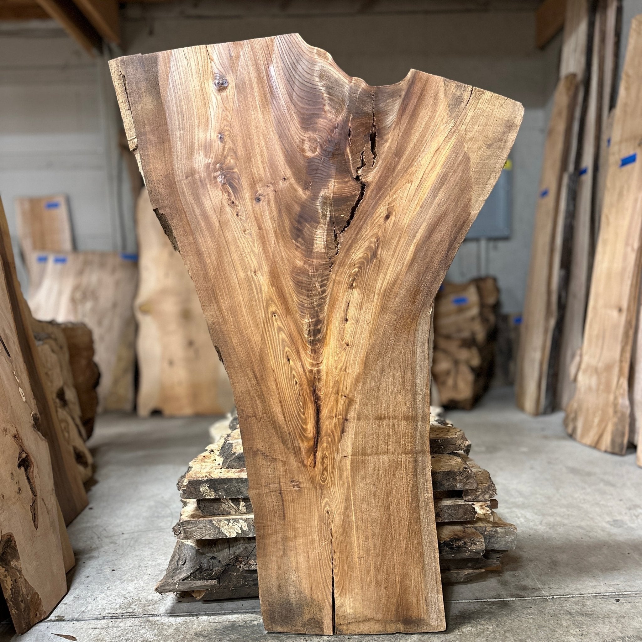 Double Diamond | LiveEdge Elm | Elm | BGDDELM465 - Hamilton Lee Supply